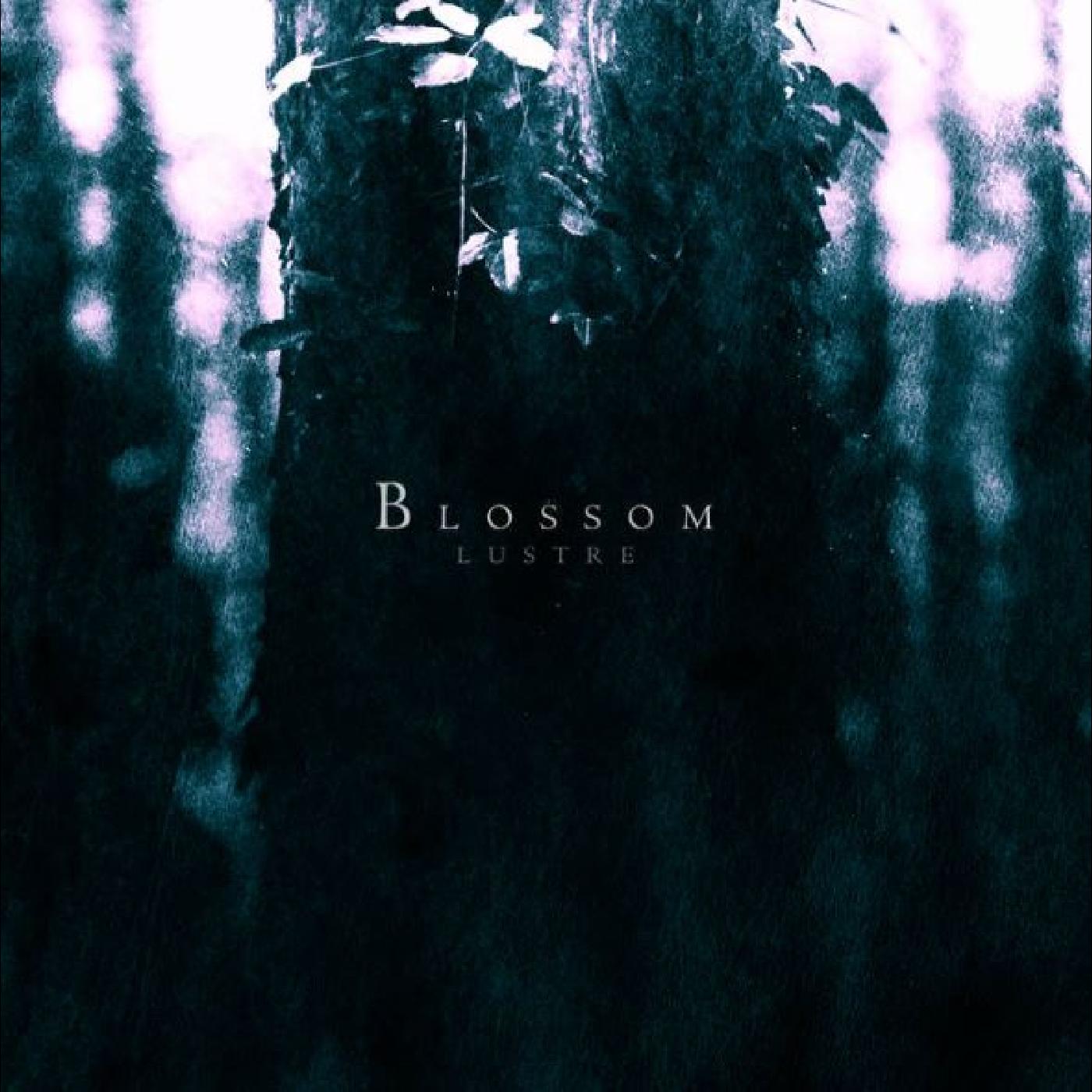 Lustre | Blossom | CD