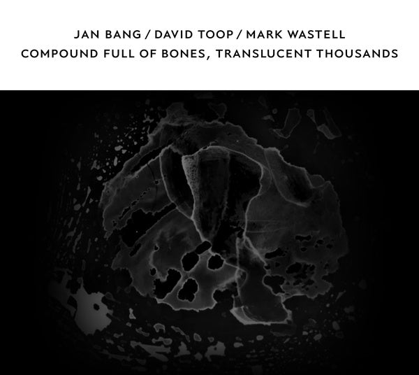 JAN BANG/DAVID TOOP/MARK WASTELL | Compound Full of Bones, Translucent